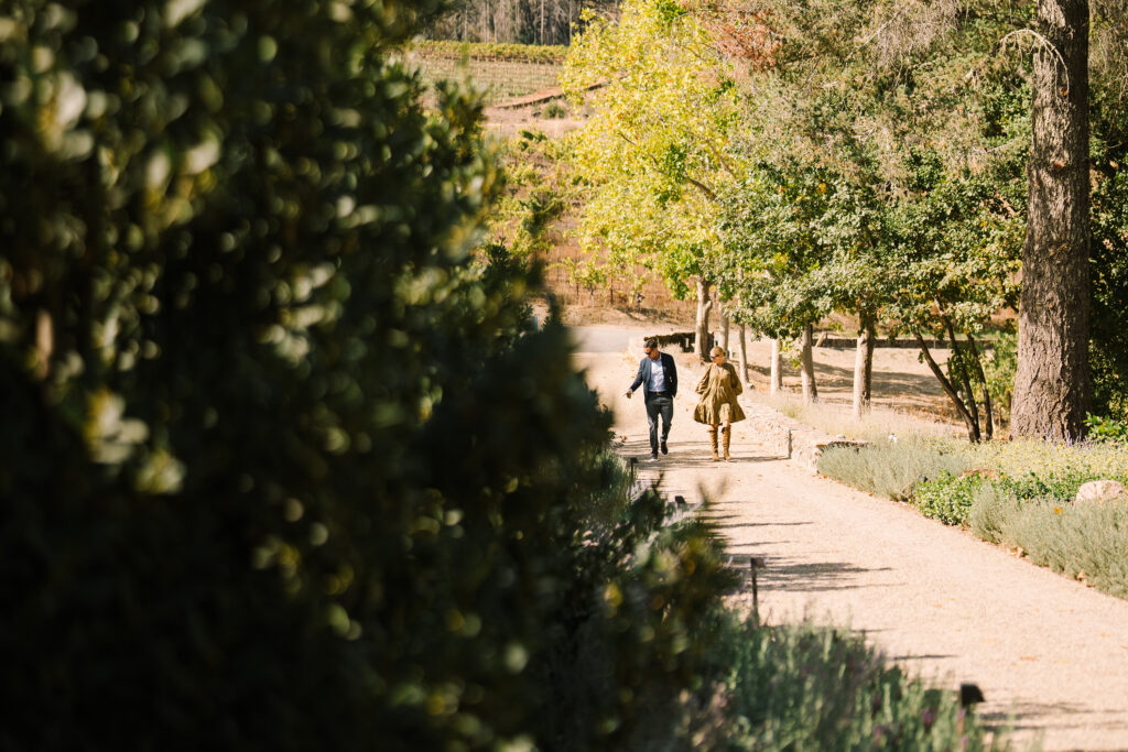 Stony Hill - Welcome