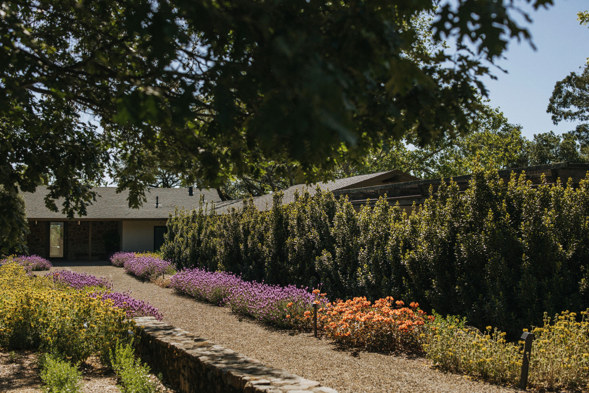 Stony Hill - Welcome